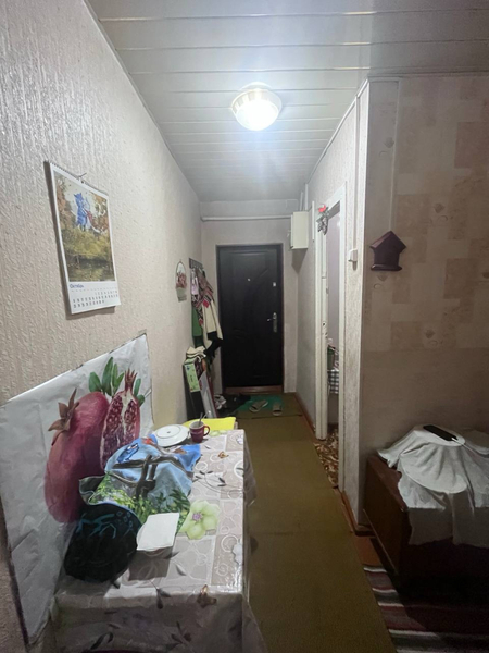 Спутник 8  1/1/2 переделанная в двух