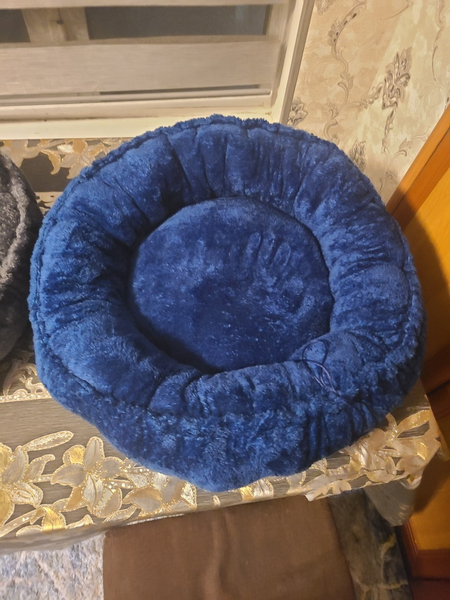Mushuk bolalari uchun yotoqchalar (Katta va kichkina qilsa buladi)