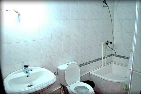 Ижарага кунлик дала ховлилар бор