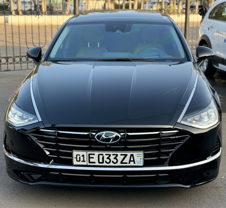Sonata full kraska toza