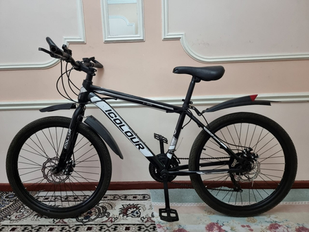 Velosiped 24 (pachti yangi)