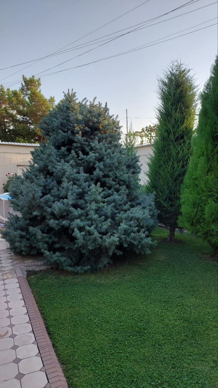Срочно продаётся дом 6  соток