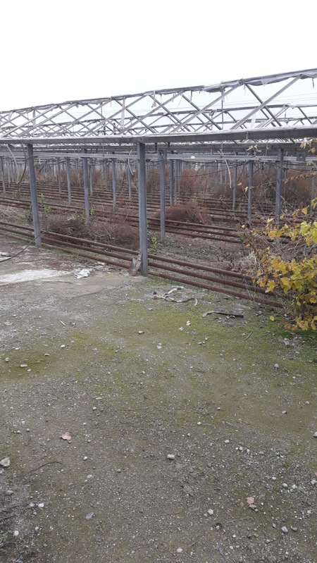 Недвижимость бизнес