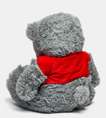 Yumshoq o'yinchoq ayiqcha teddy