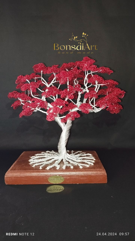 Dekarativ BONSAI daraxtlari