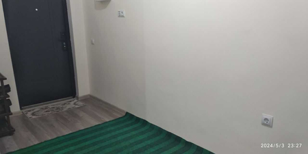 Yangi domga ijaraga qo'yiladi