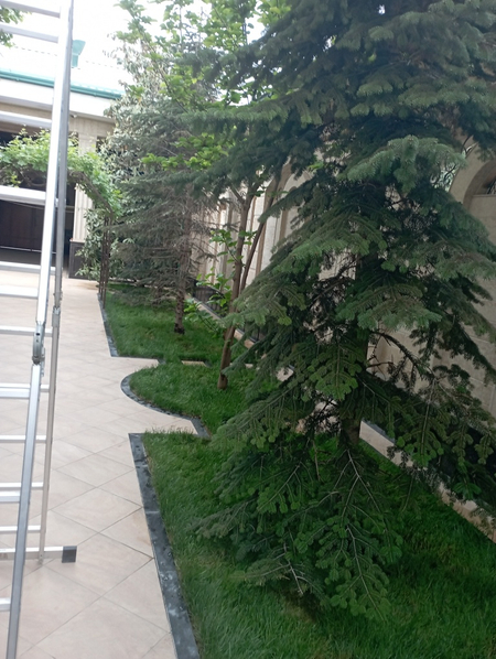 Archa ekish kesish dorilash xizmati