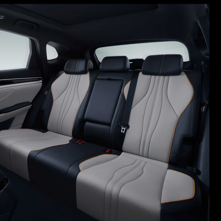 BYD Song plus DMi