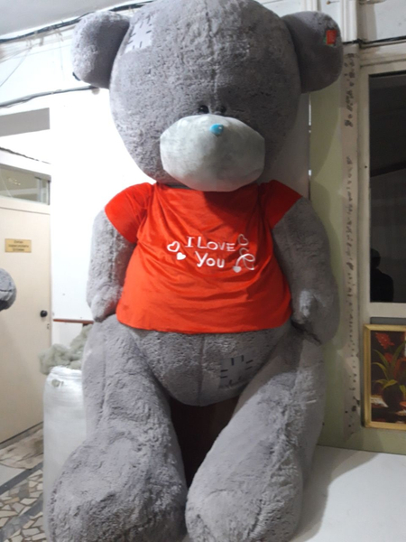 Teddy orginal Xitoy