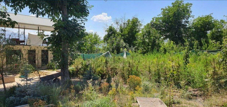 Sijjakda 10sotixli dacha sotiladi