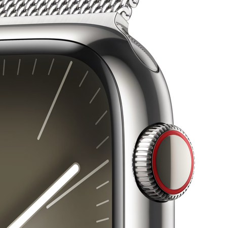 Apple Watch 7 45mm Milanese Stainless Steel