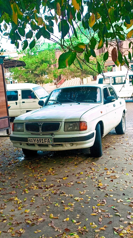 Volga 31 10 gaz benzin