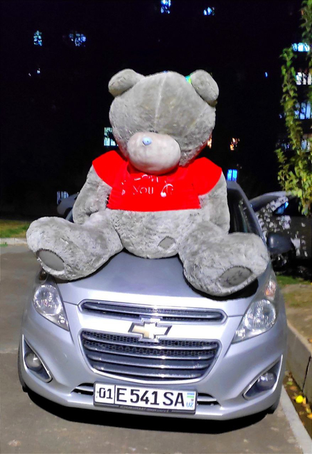 Teddy ayiglarmiz