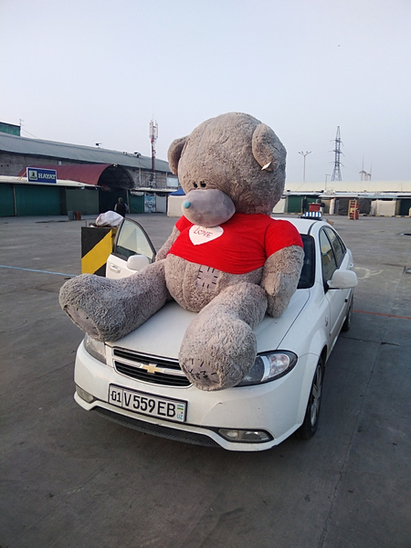 Тедди Teddy Teddi Teddiy по Оптовым сенам