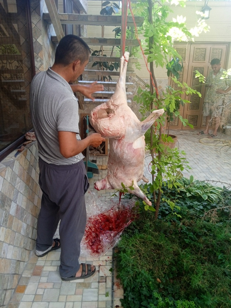 Qassob xizmatimiz Toshkent shahri bõylab