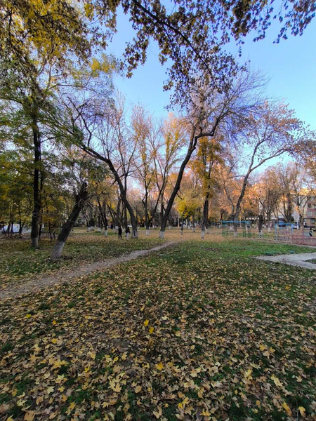 Продается новая квартира Чиланзар 11 квартал  Аль Хорезми 2/2/4 47м²