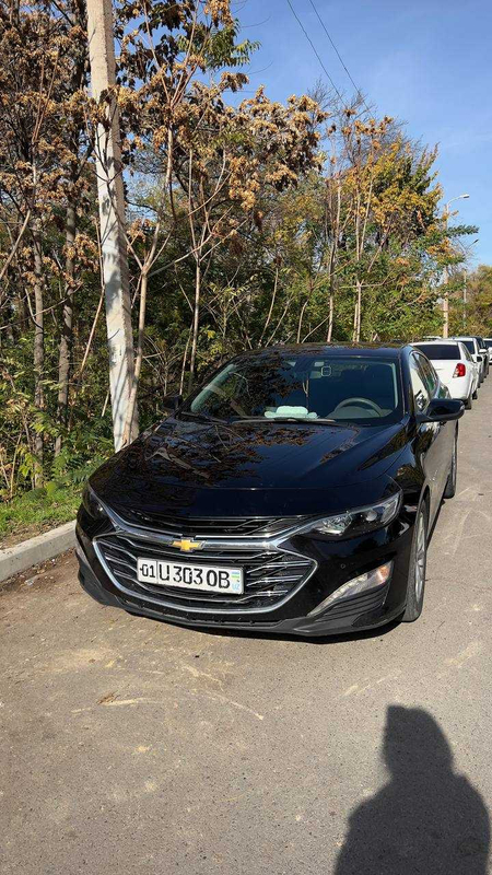 Malibu 2 Sotiladi