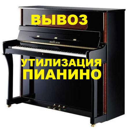 Вывоз мусора,пианино,старой мебели,вещей на свалку, Авто,Грузчики