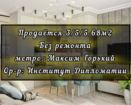 Максим Горький 3/5/5 65м2 ор-р Институт Дипломатии