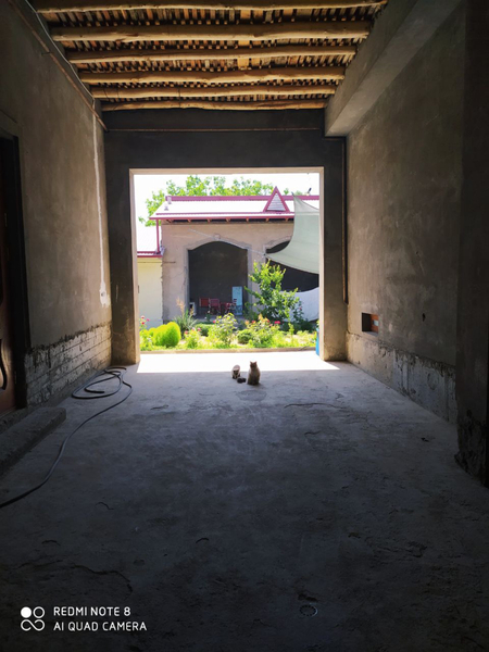 Uchastkaga studenla qoyiladi