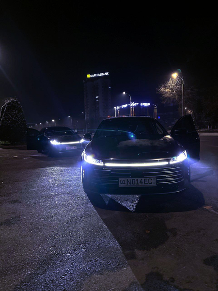 Поездки в горы и по Узбекистану.