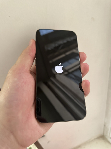 iPhone 13 pro Max 100% batare