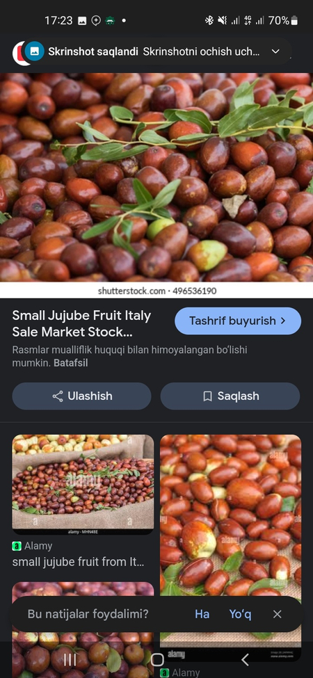 Chilon jiyda mevasi sotiladi  davlenya va boshqa kasalliklarga