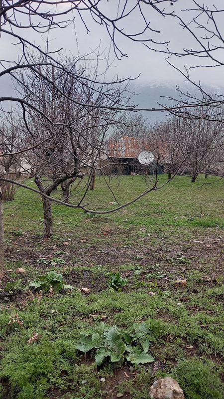 Продаются участок возле амирсая Чимган
