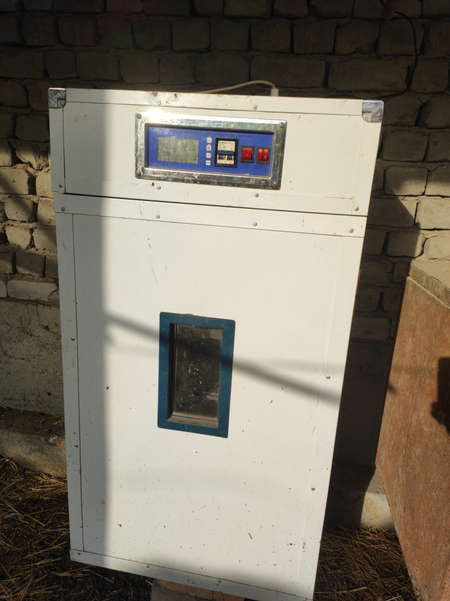 Inkubator 350 talik