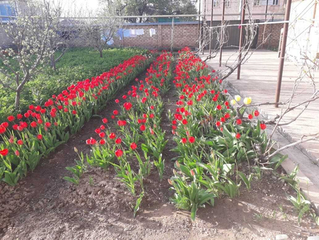 Дом с удобной локацией и на чистом воздухе для жилья или под бизнес