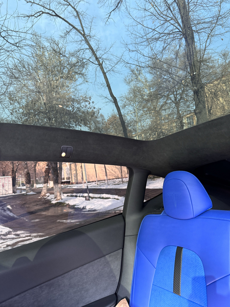 Tesla Model Y Performance 2023