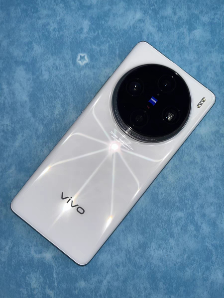 Vivo X100 Pro (New)