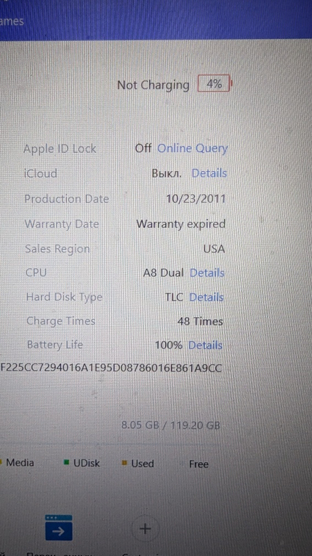 Ipad mini 4 128 GB 100% Battery