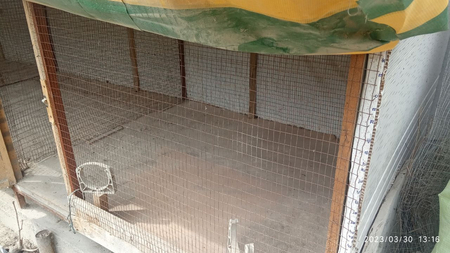 Паррандалар учун катак сотилади