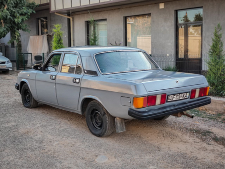 Волга 31029