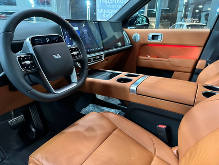 Lixiang L 9 max Auto Kredit Tayor