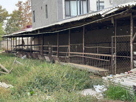 Teplitsa issiqxona parnik tayyor biznes, теплица, аренда