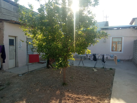 Nazarbek tekstilda hovli sotladi