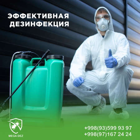 Дезинфекция дезинфекция