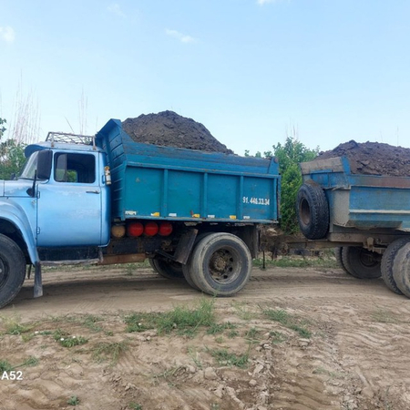 Zil piriseb sotiladi