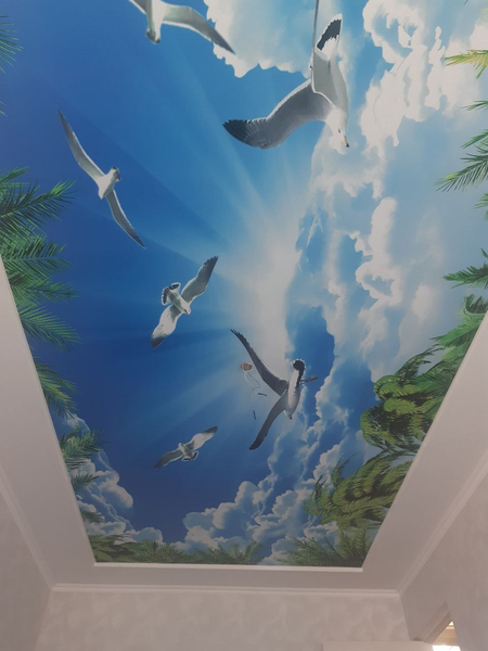 Натяжные потолки качественно