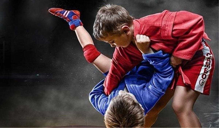 Боевое и спортивное самбо