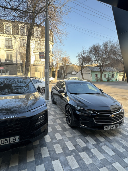 Rent a car avto prokat ijara suxoy arenda 24/7