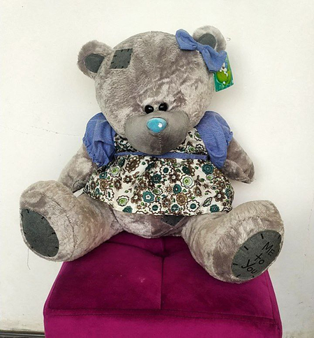 Teddy va boshqa yumshoq oʻyinchoqlar