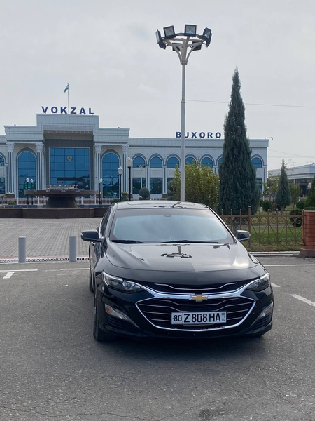 Malibu tuyga zaks xizmati 700 ming