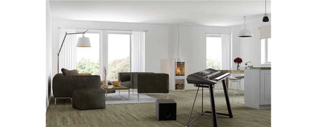 Yamaha KS-SW100 Subwoofer  Сабвуфер
