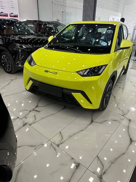 BYD Seagull 2023год