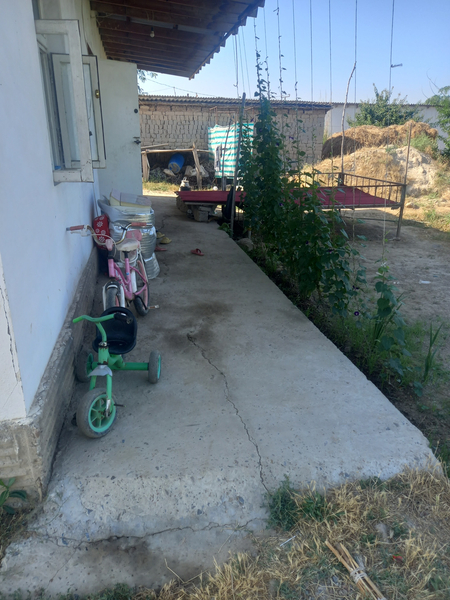 Sirdaryo Asalchida uy sotiladi