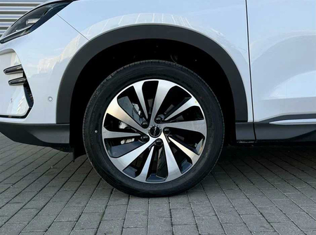 BYD Champion edition 520 km Electromobil