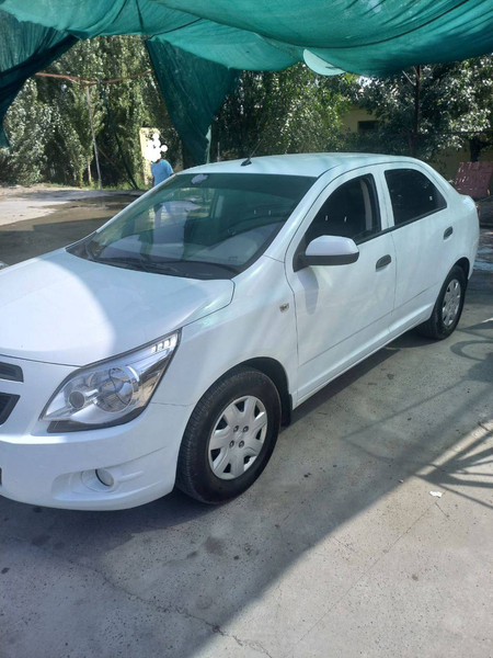 Cobalt  2 Paditsa
